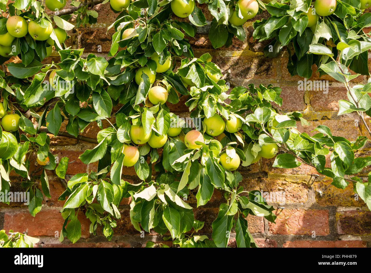 Brick garden wall hi-res stock photography and images - Alamy