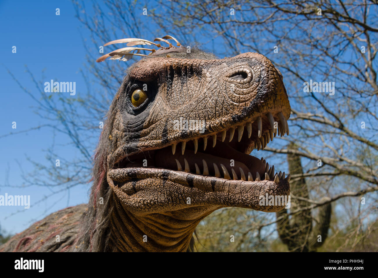 Theropod desert hi-res stock photography and images - Alamy