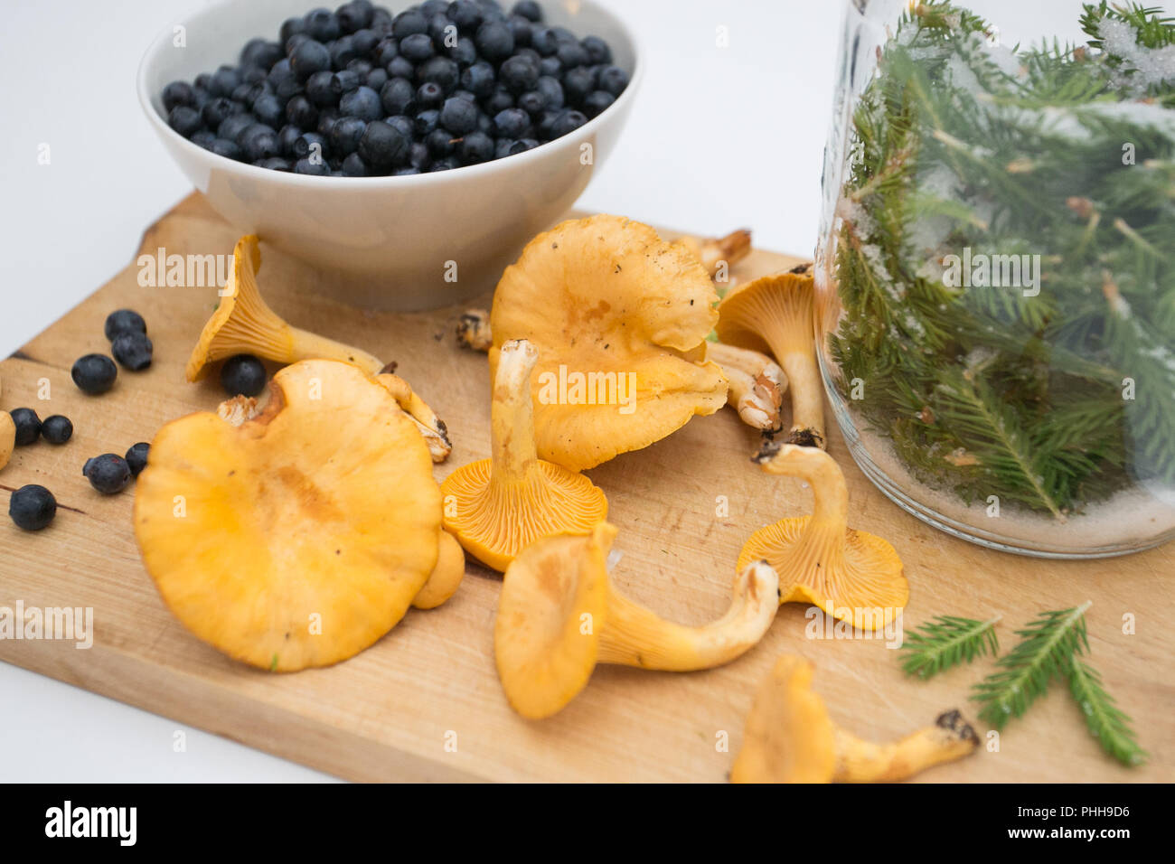 fresh from the forest Stock Photo - Alamy