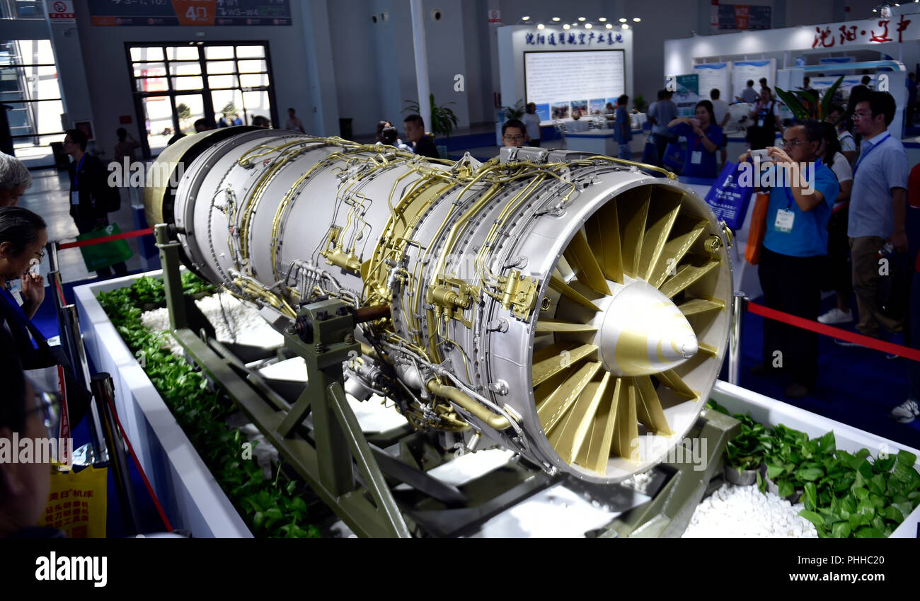 (180901) -- SHENYANG, Sept. 1, 2018 (Xinhua) -- Visitors look at a ...