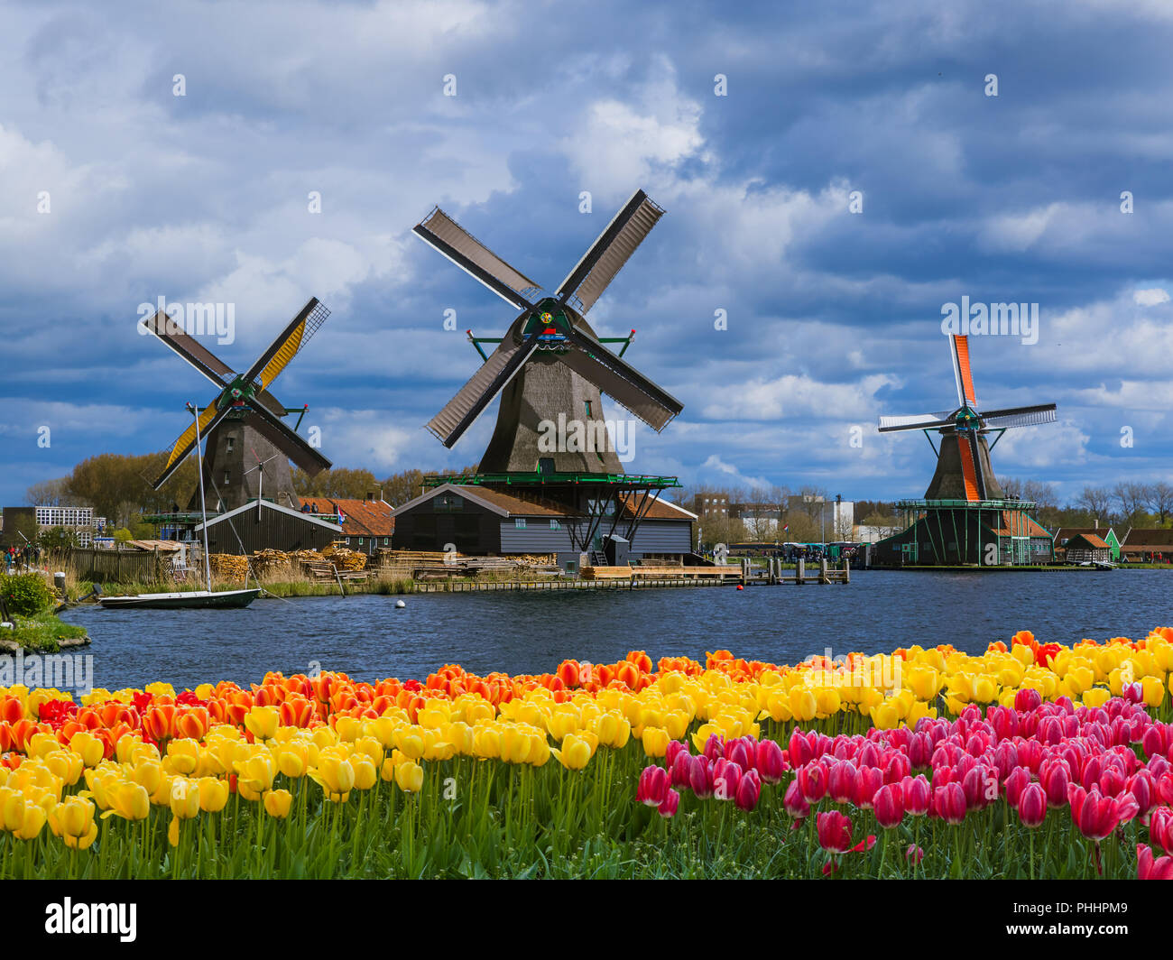 Kinderdijk windmills tulips hi-res stock photography and images - Alamy