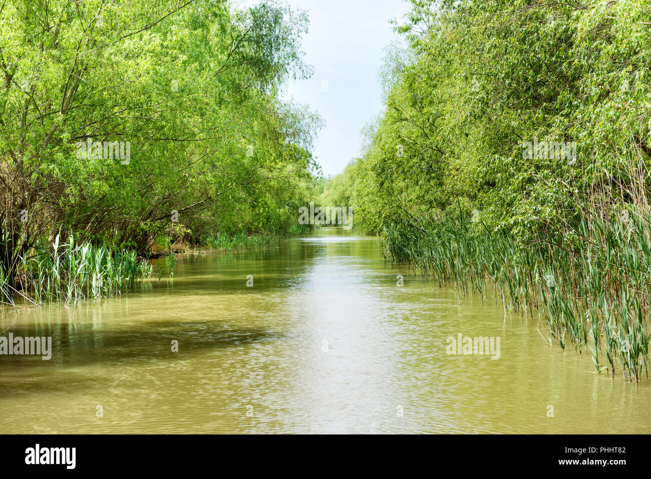 Tropical river landscape hi-res stock photography and images - Alamy