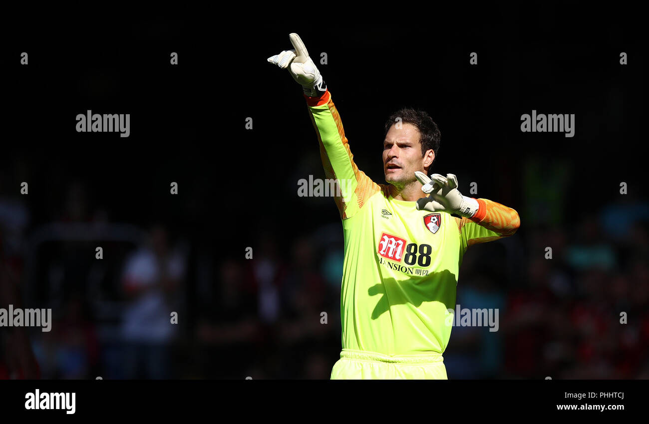 Chelsea goalkeeper asmir begovic 1 hi-res stock photography and images ...