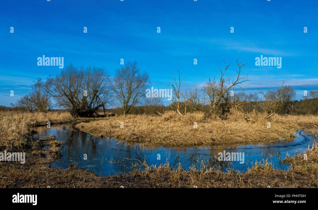 Area of marsh hi-res stock photography and images - Alamy