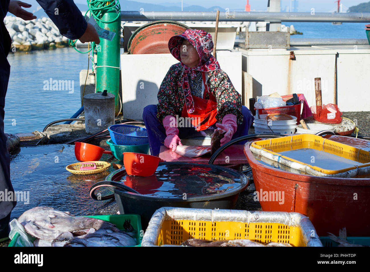 Woman cleaning preparing fresh caught hi-res stock photography and ...