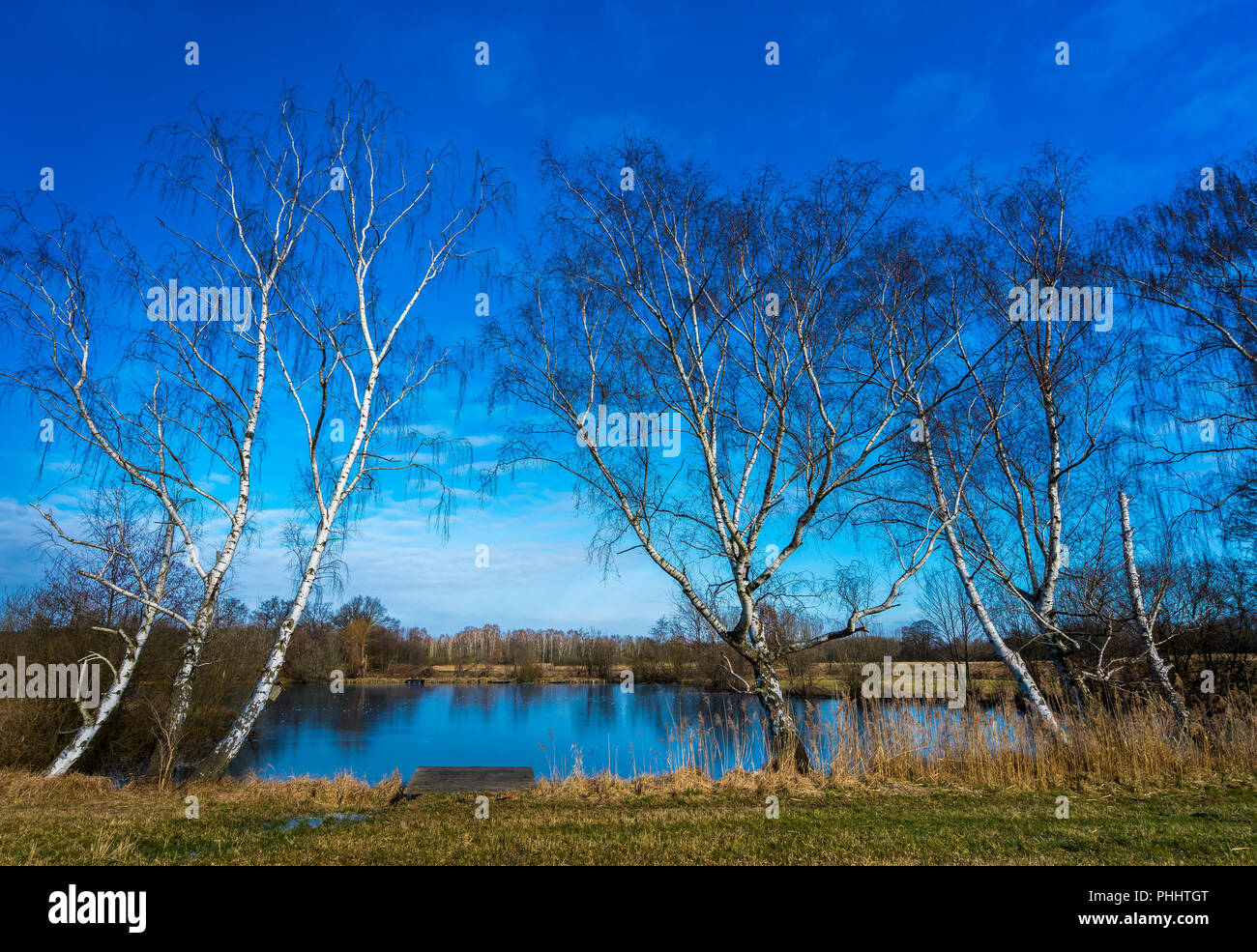 february in berlin nature Stock Photo - Alamy