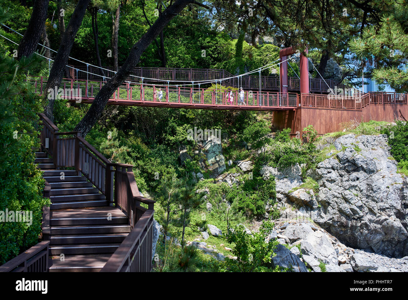 Suspension bridge in Dongbaek Park, pedestrian boardwalk along ...