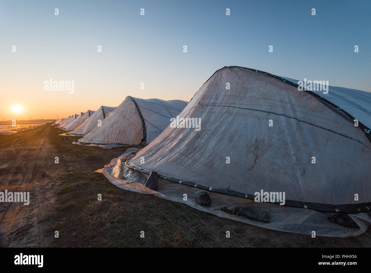 Field of plastic waste hi-res stock photography and images - Alamy