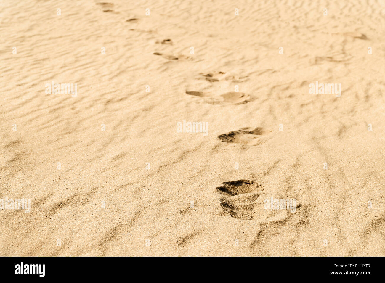 Footstep in sahara desert hi-res stock photography and images - Alamy
