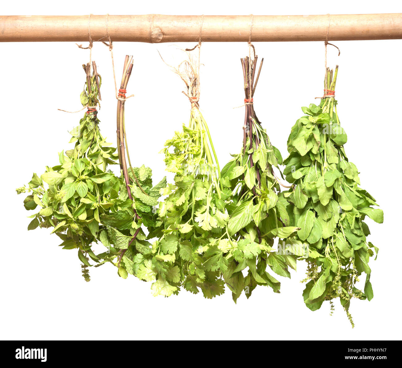 Medicinal herbs set hi-res stock photography and images - Alamy