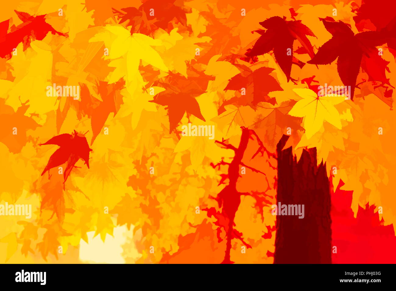 Maple tree sheets hi-res stock photography and images - Alamy