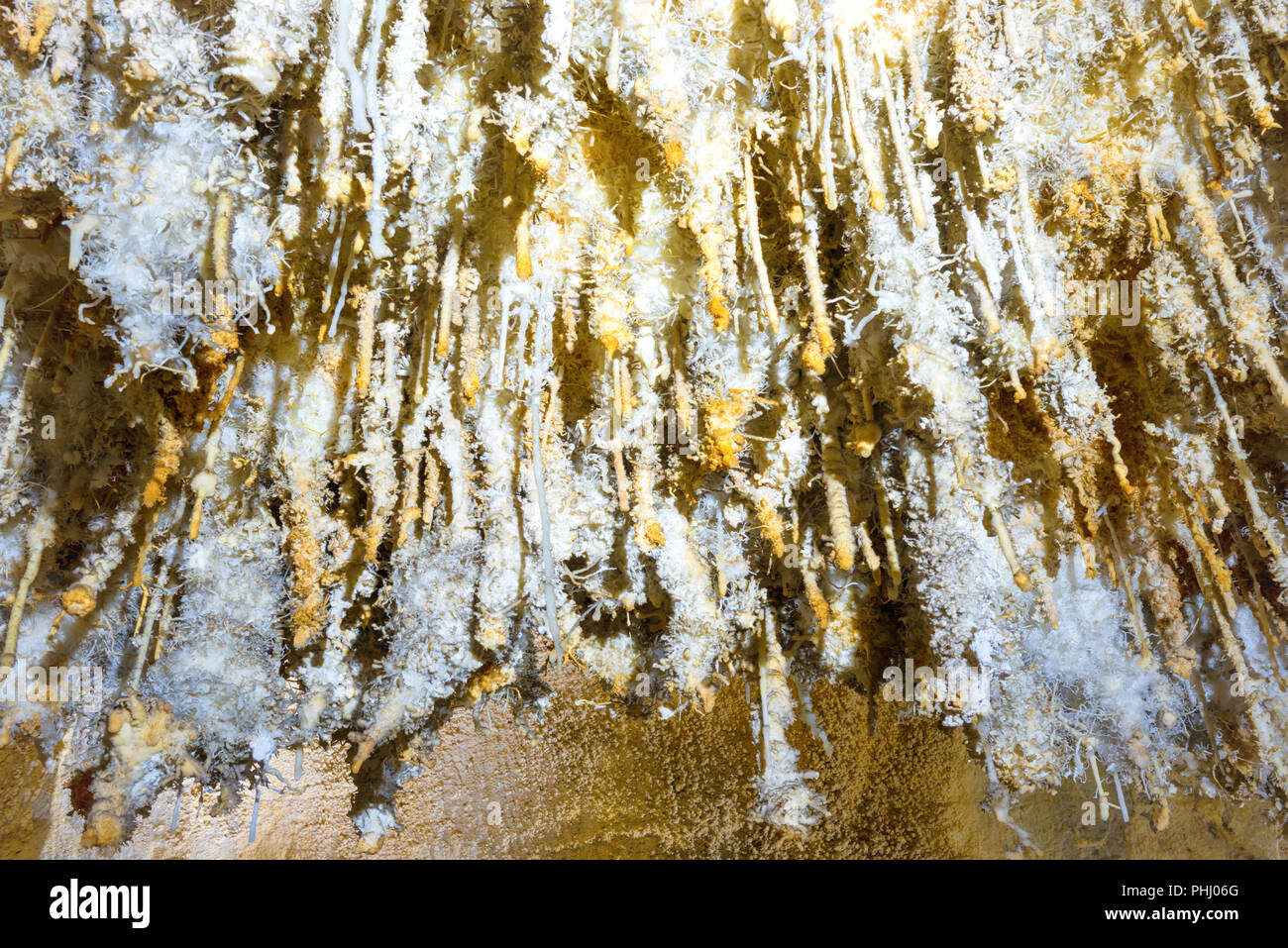 The white cave hi-res stock photography and images - Alamy