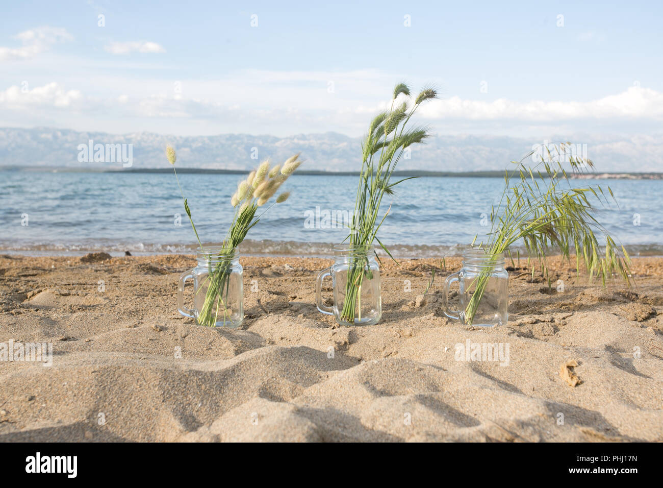 grass on the beach Stock Photo - Alamy