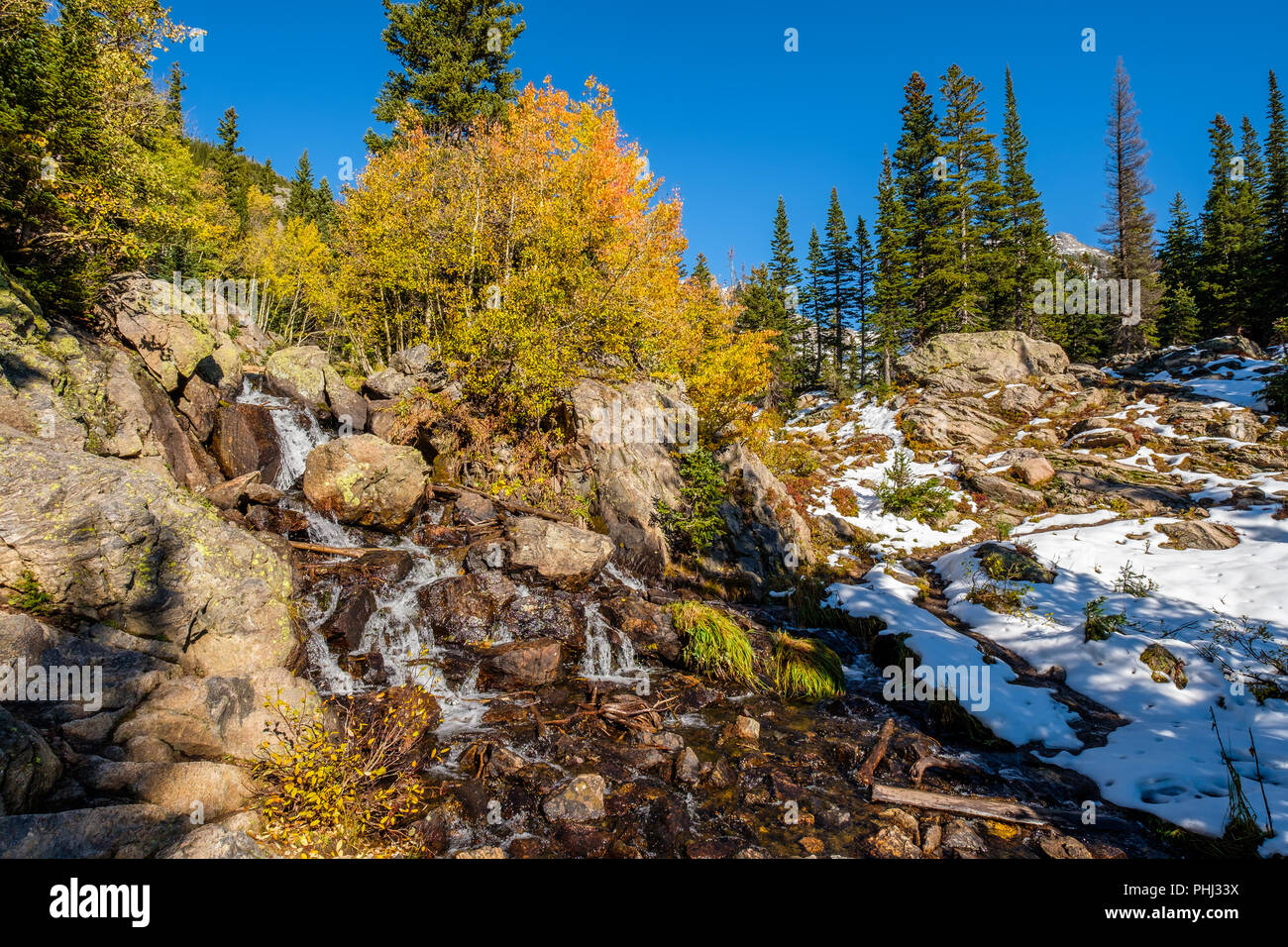 Season changing, first snow and autumn trees Stock Photo - Alamy