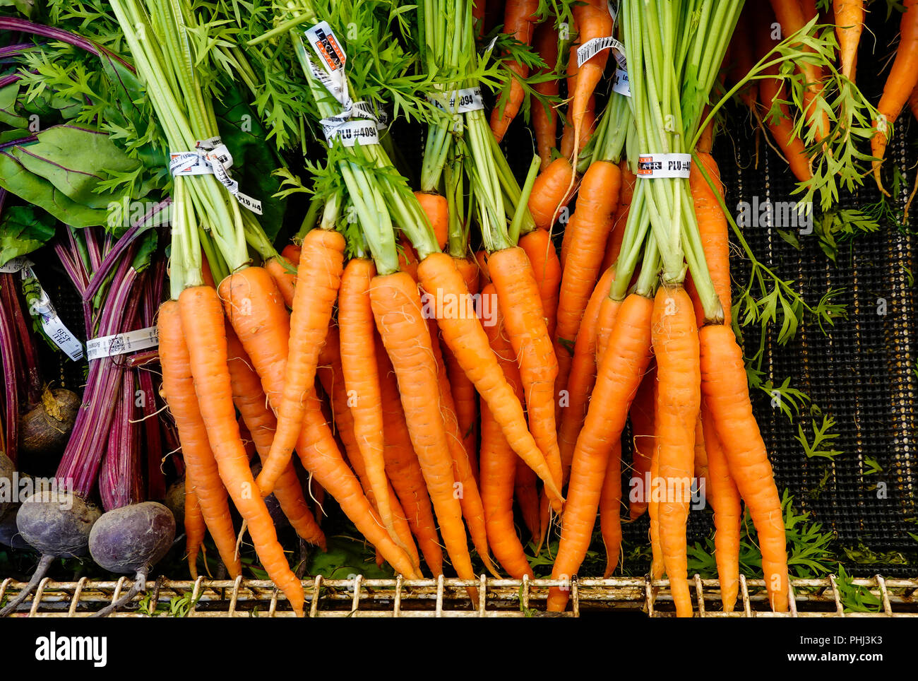 Farmers quebec hi-res stock photography and images - Alamy