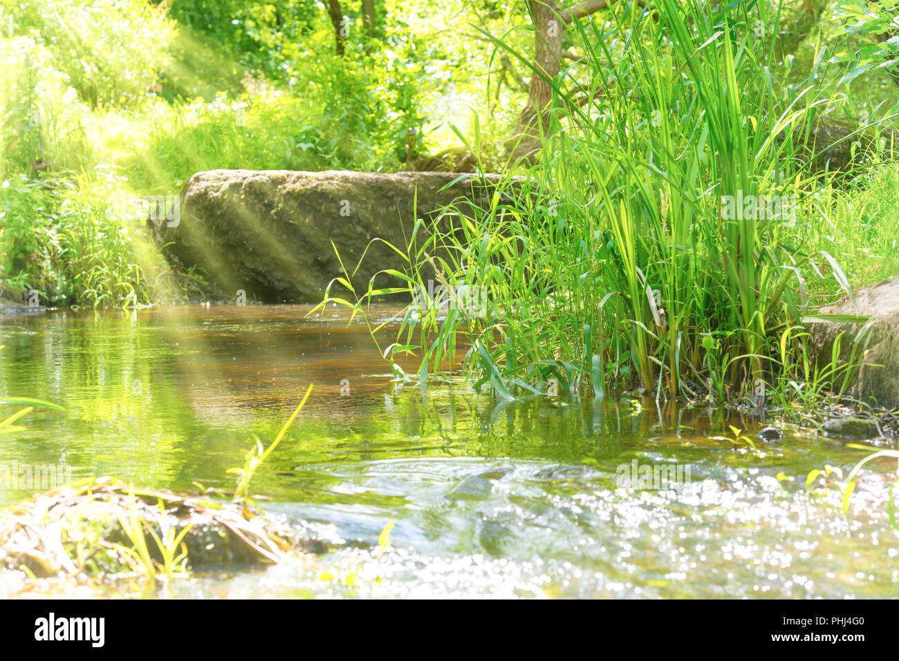 Stream in rain hi-res stock photography and images - Alamy