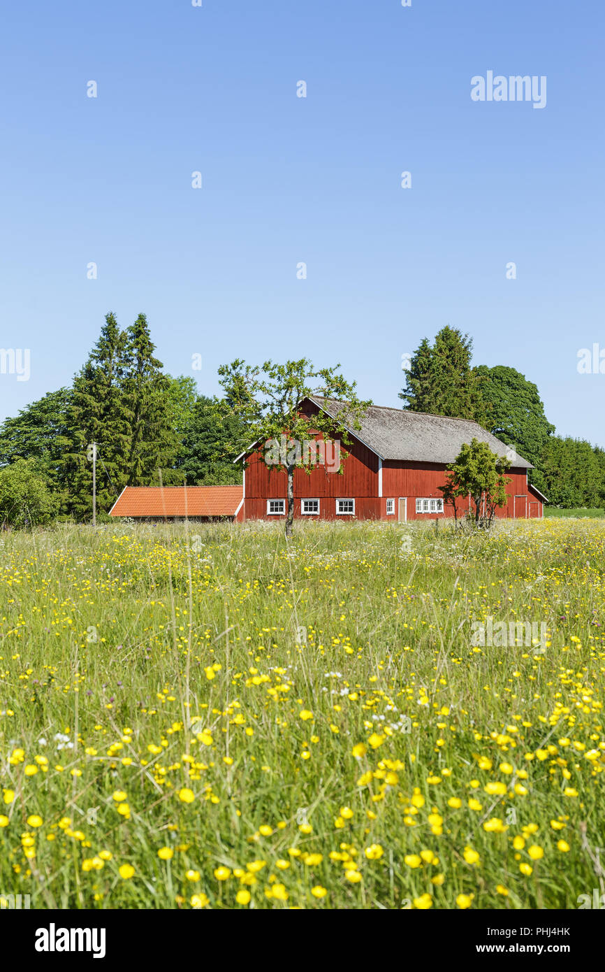 Field barn in summer hi-res stock photography and images - Alamy