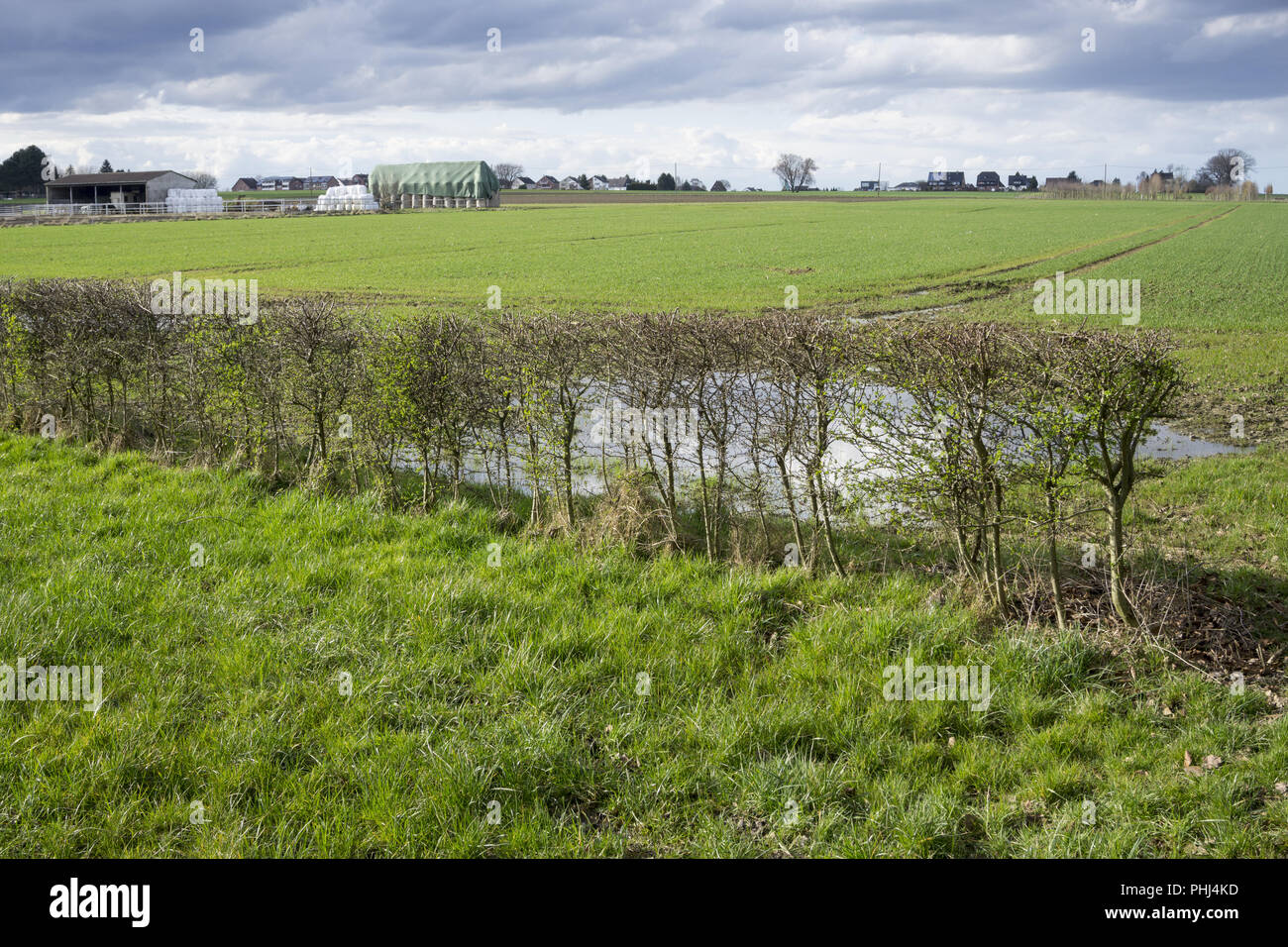 Field Hedge High Resolution Stock Photography and Images - Alamy