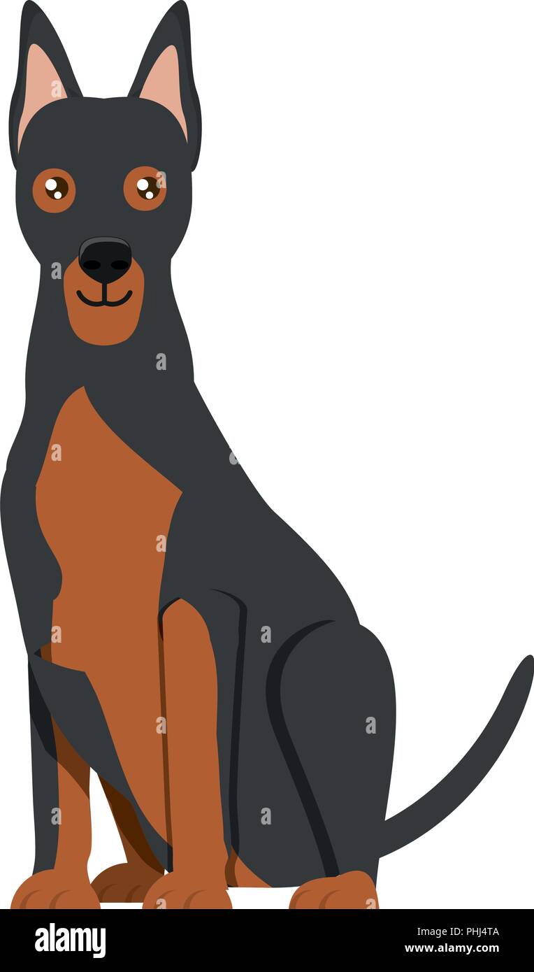 cute doberman dog icon over background, vector illustration Stock ...