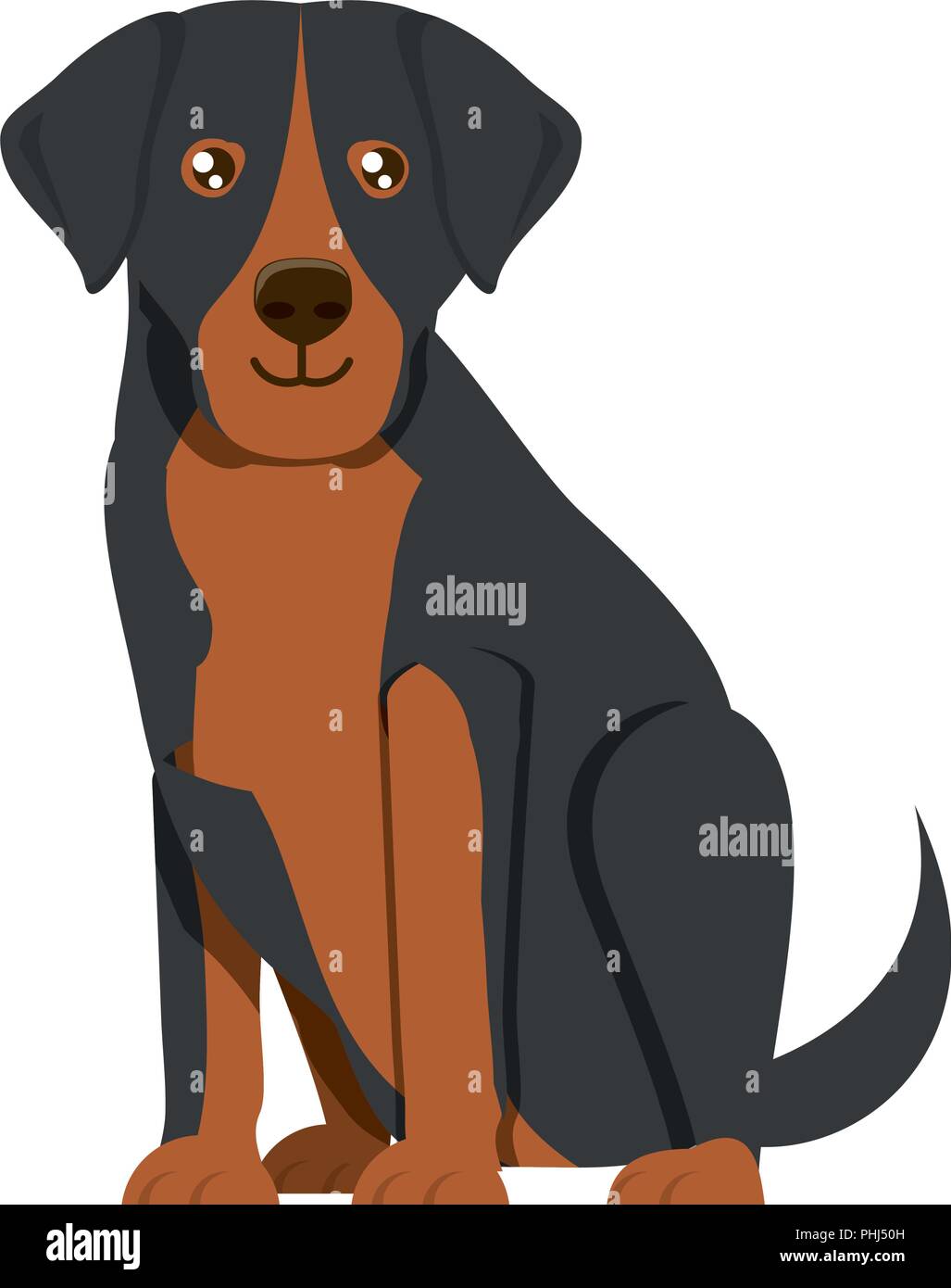 doberman dog icon over white background, vector illustration Stock ...