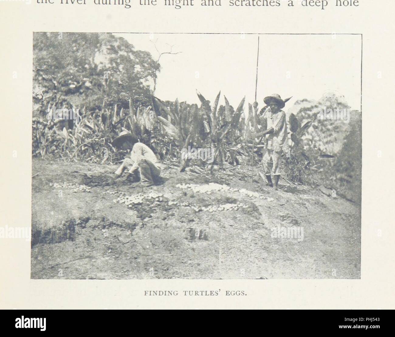 Image from page 133 of 'Travels and Adventures of an Orchid Hunter ...