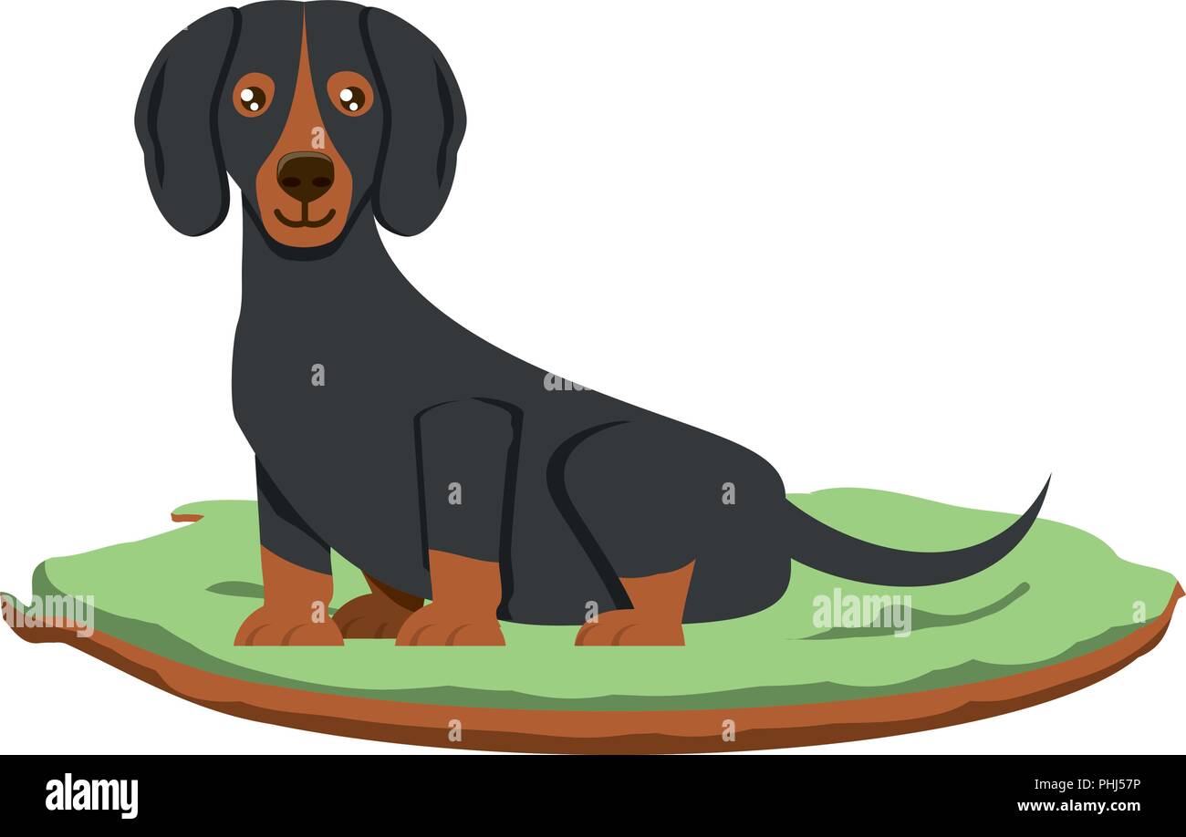 cute dashhund dog icon over background, vector illustration Stock ...