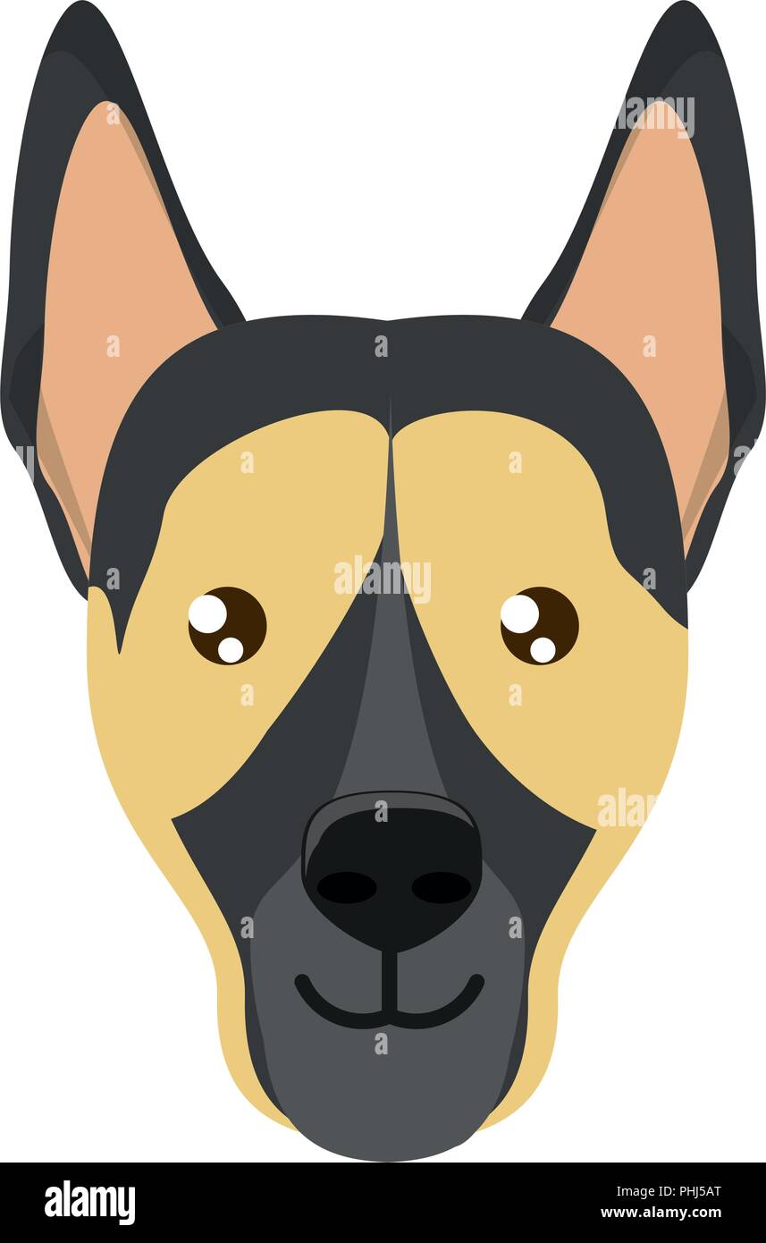 cute doberman dog icon over background, vector illustration Stock ...