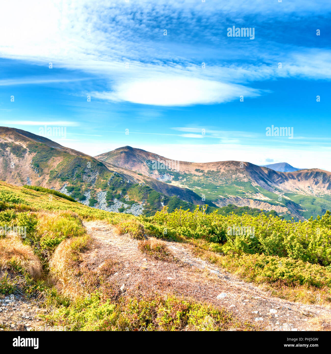 Mountains landscape with forest Stock Photo - Alamy