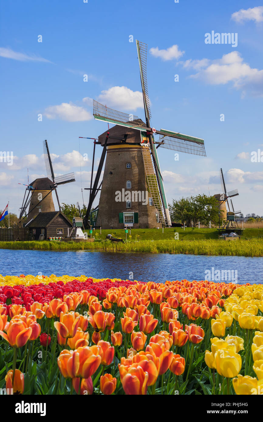 Spring with windmills in the background hi-res stock photography and ...