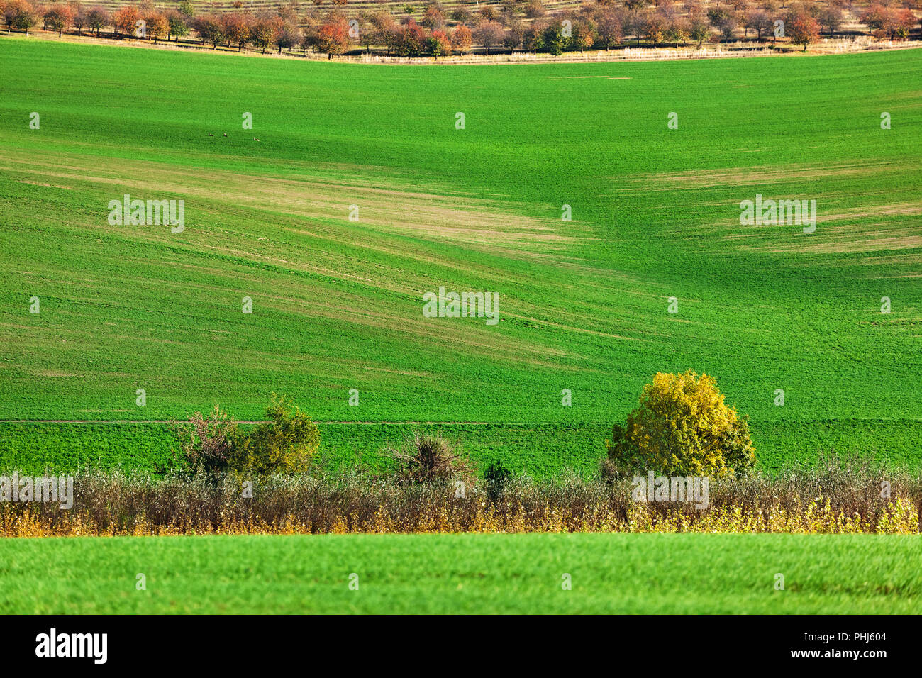Moravian fields czech republic hi-res stock photography and images - Alamy