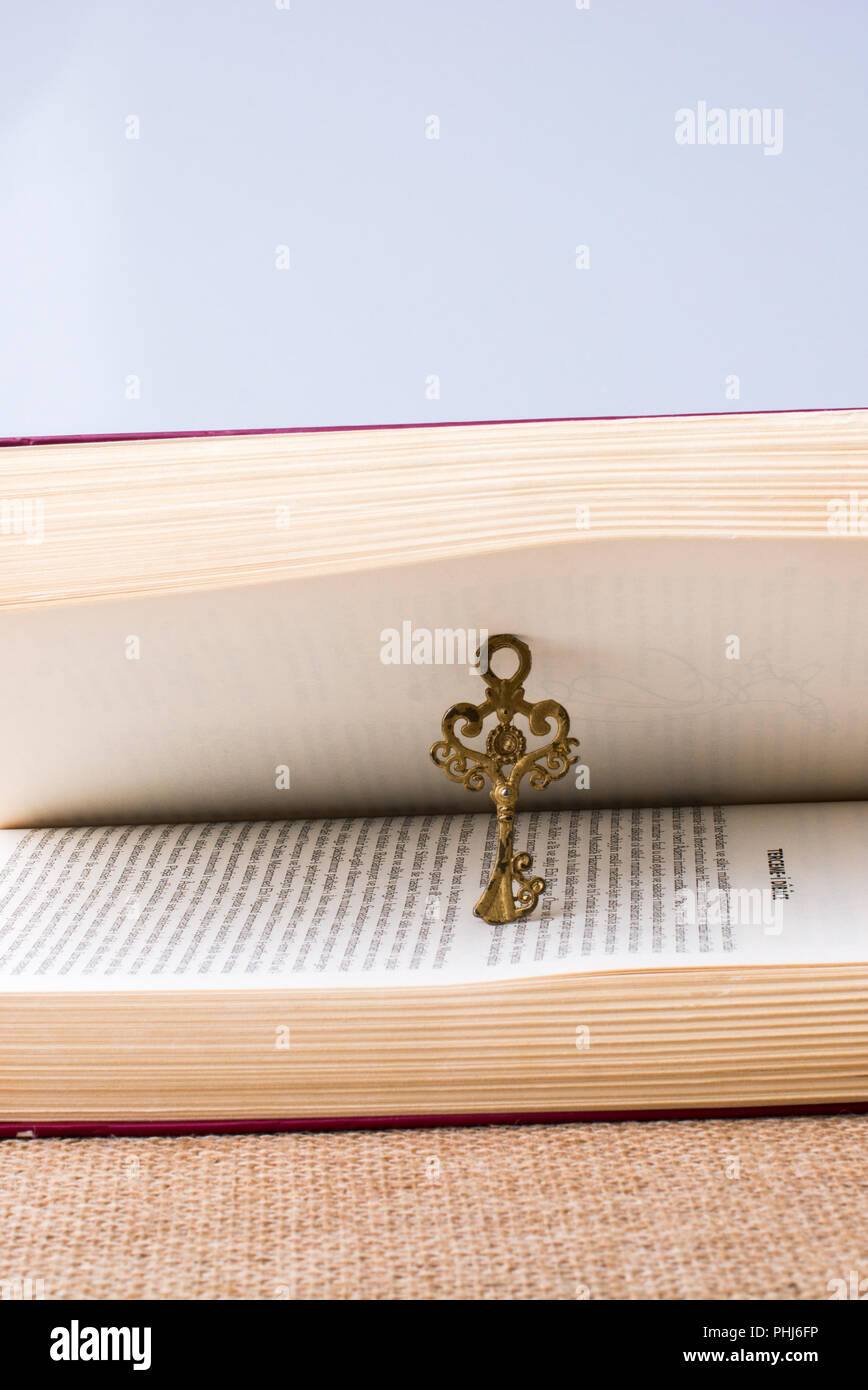 Canvasbackground hi-res stock photography and images - Alamy