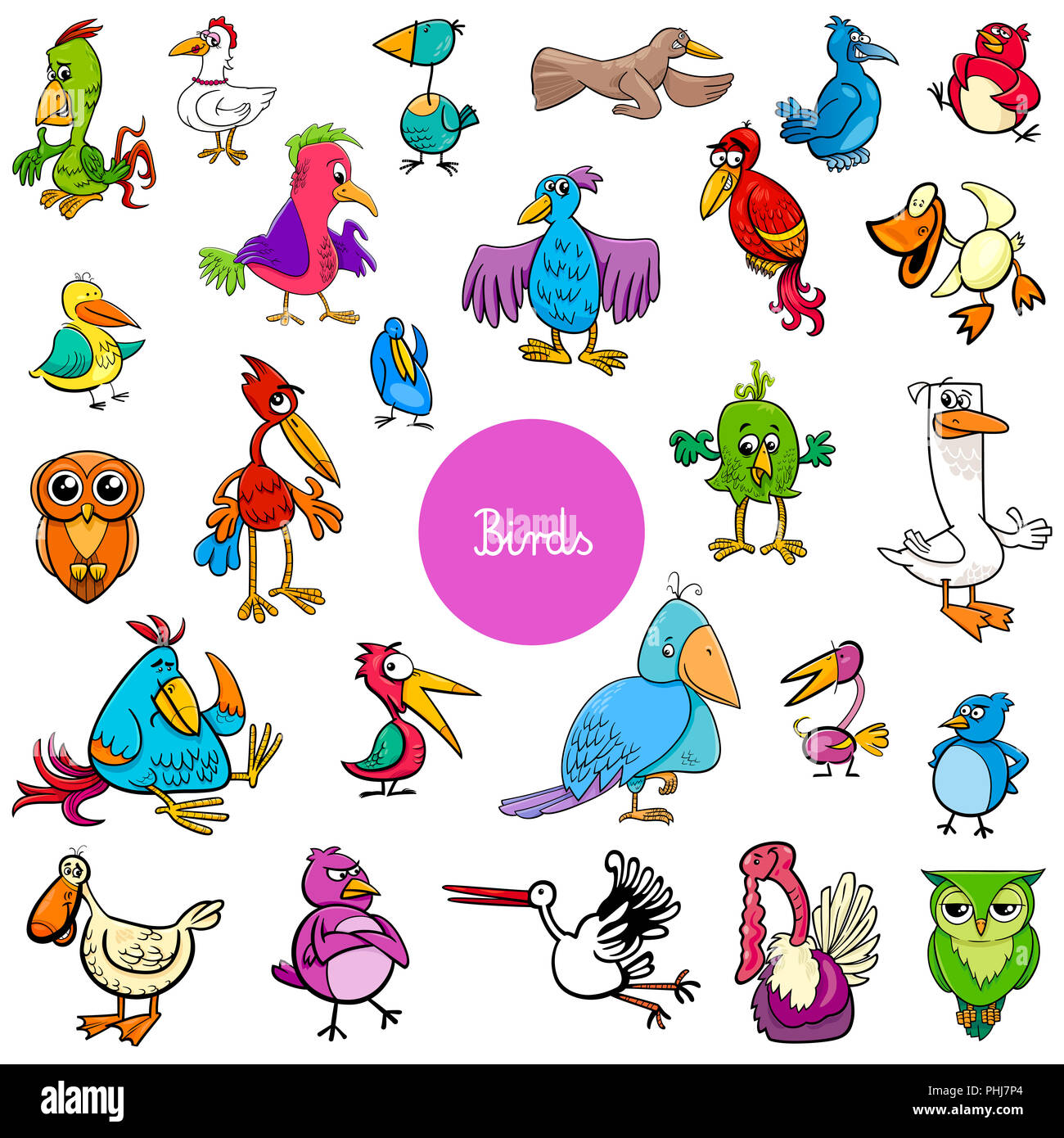 Bird Cartoon Characters
