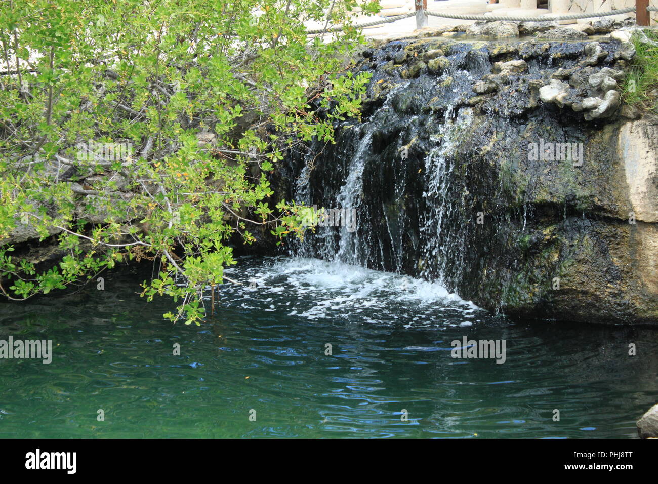 El eco verde hi-res stock photography and images - Alamy