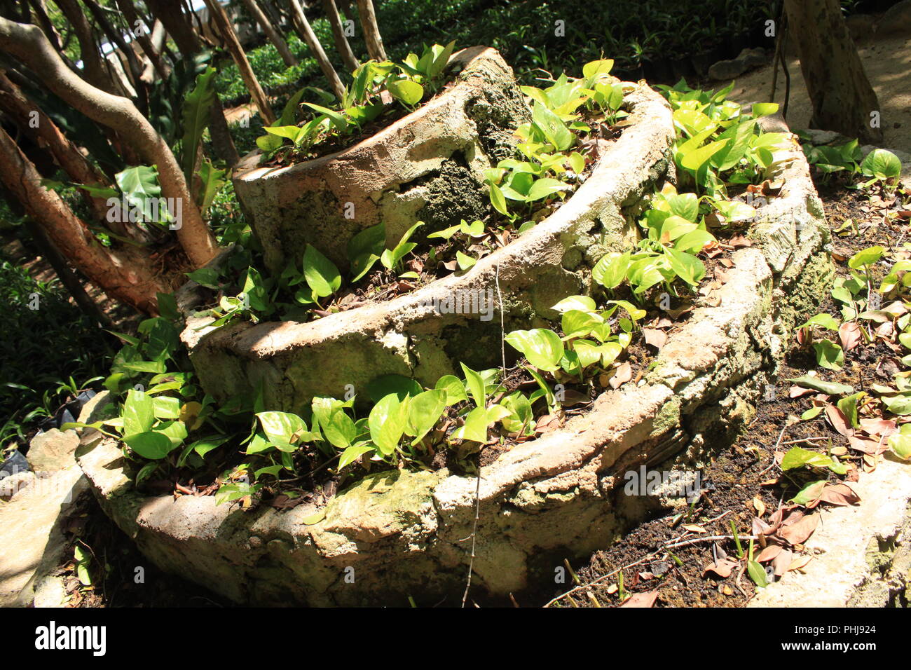 Bosque garden hi-res stock photography and images - Alamy