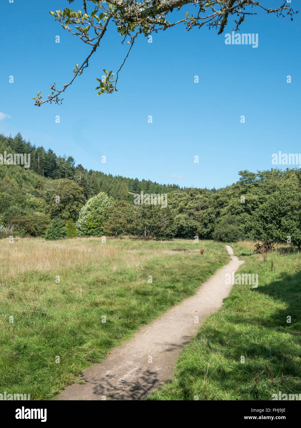 Long road ahead metaphor hi-res stock photography and images - Alamy