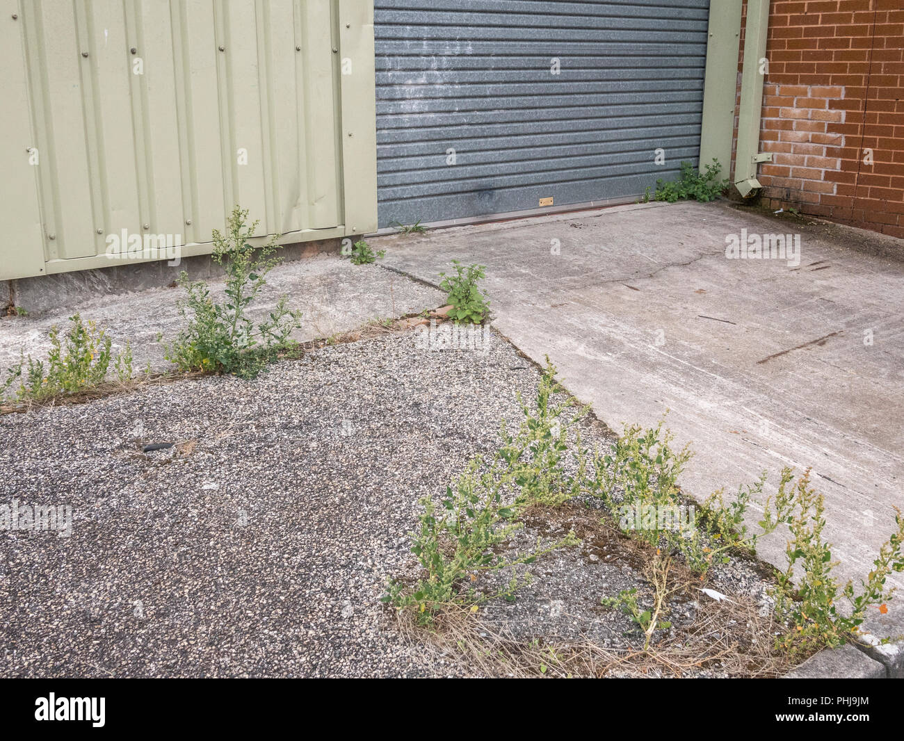 Weeds growing in cracks of concrete covered yard in an industrial ...