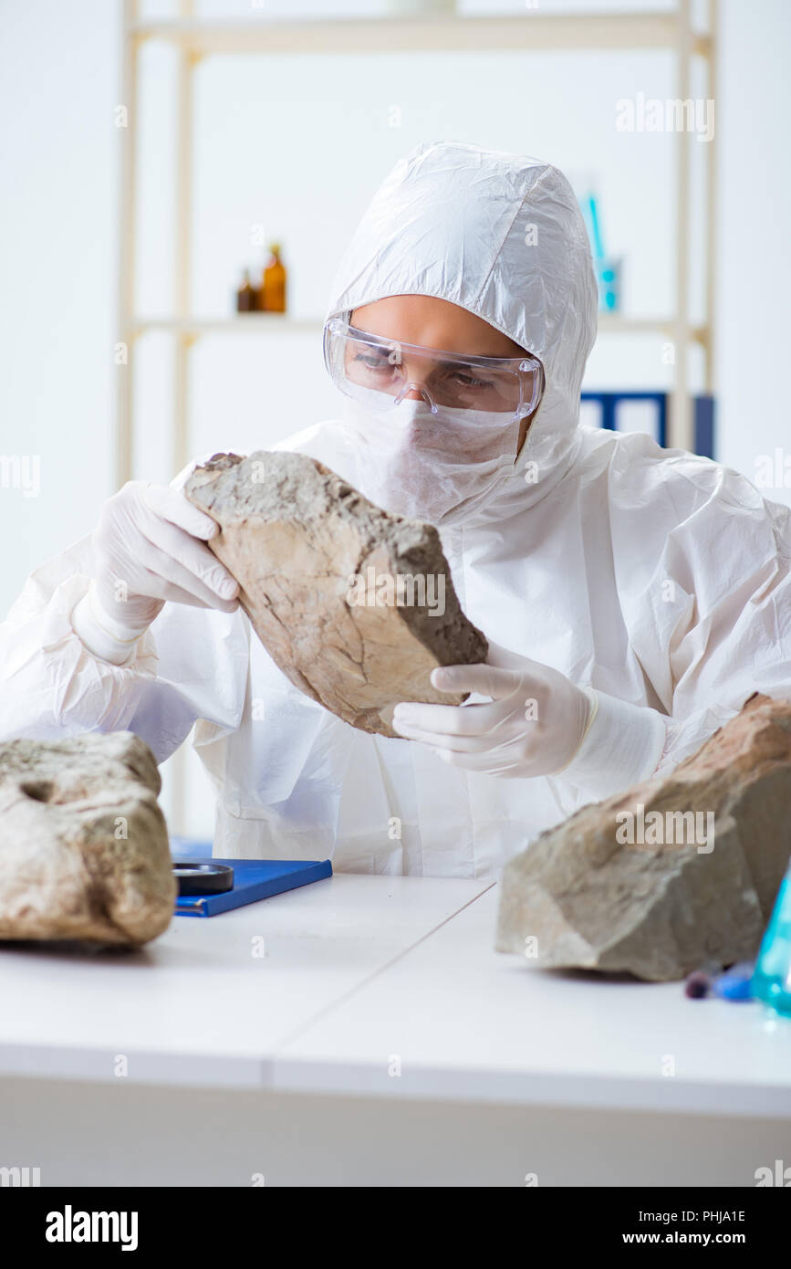 Scientist looking and stone samples in lab Stock Photo - Alamy