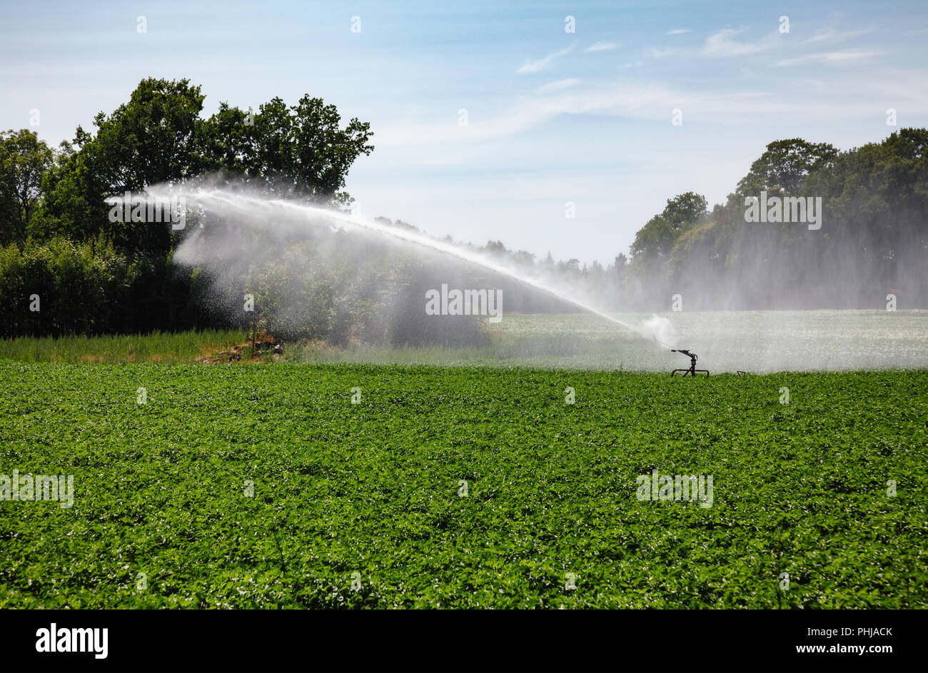 Over irrigating hi-res stock photography and images - Alamy