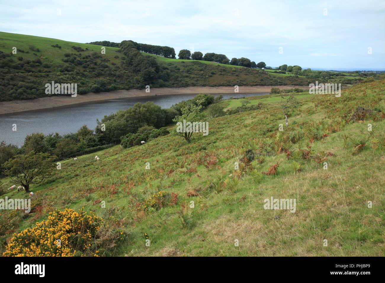 Meldon reservoir hi-res stock photography and images - Alamy