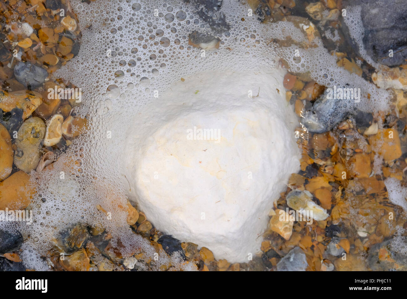 Large white chalk stone on pebble beach in East Preston, West Sussex ...