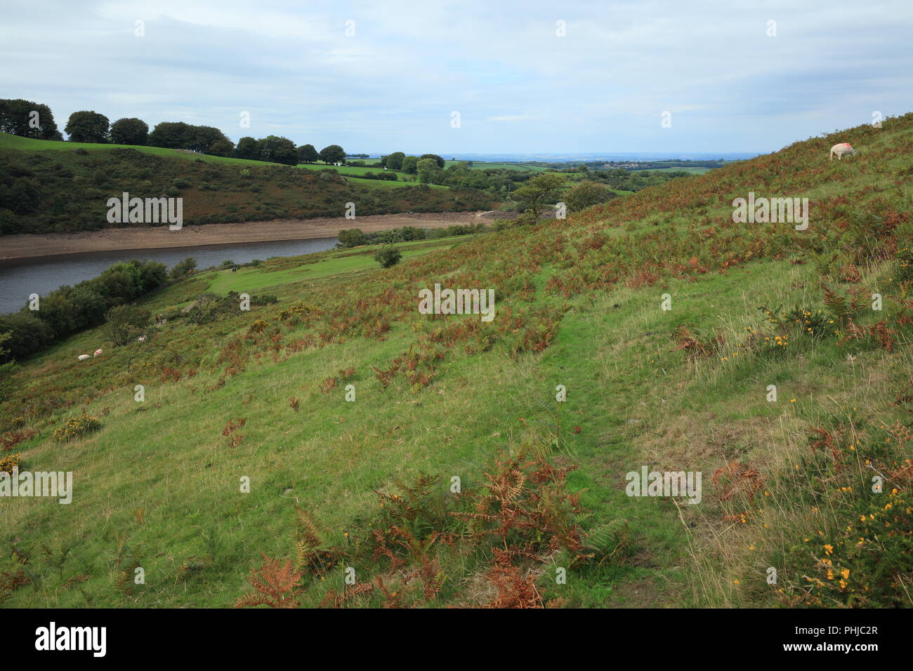 Meldon reservoir, Dartmoor National park, Devon, England, UK Stock ...