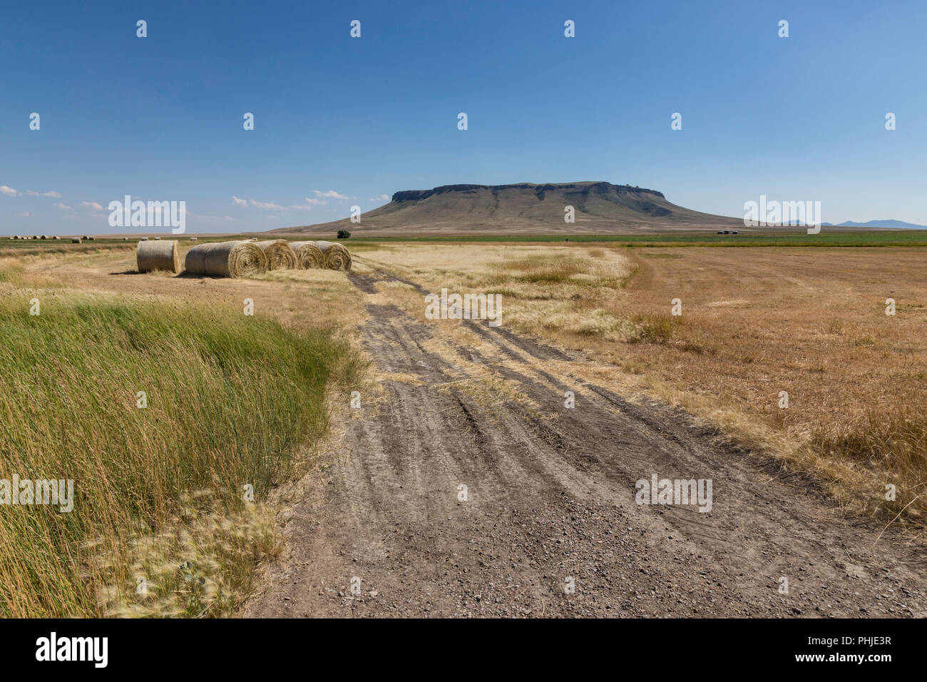 Square Butte is an iconic landmark in Montana, USA Stock Photo - Alamy