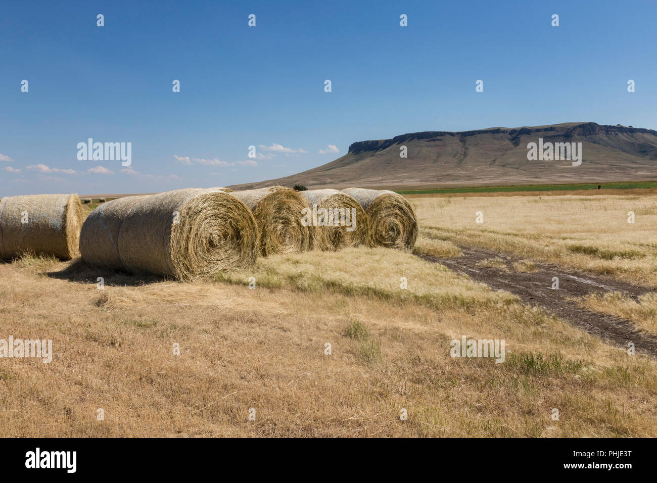 Square Butte is an iconic landmark in Montana, USA Stock Photo - Alamy