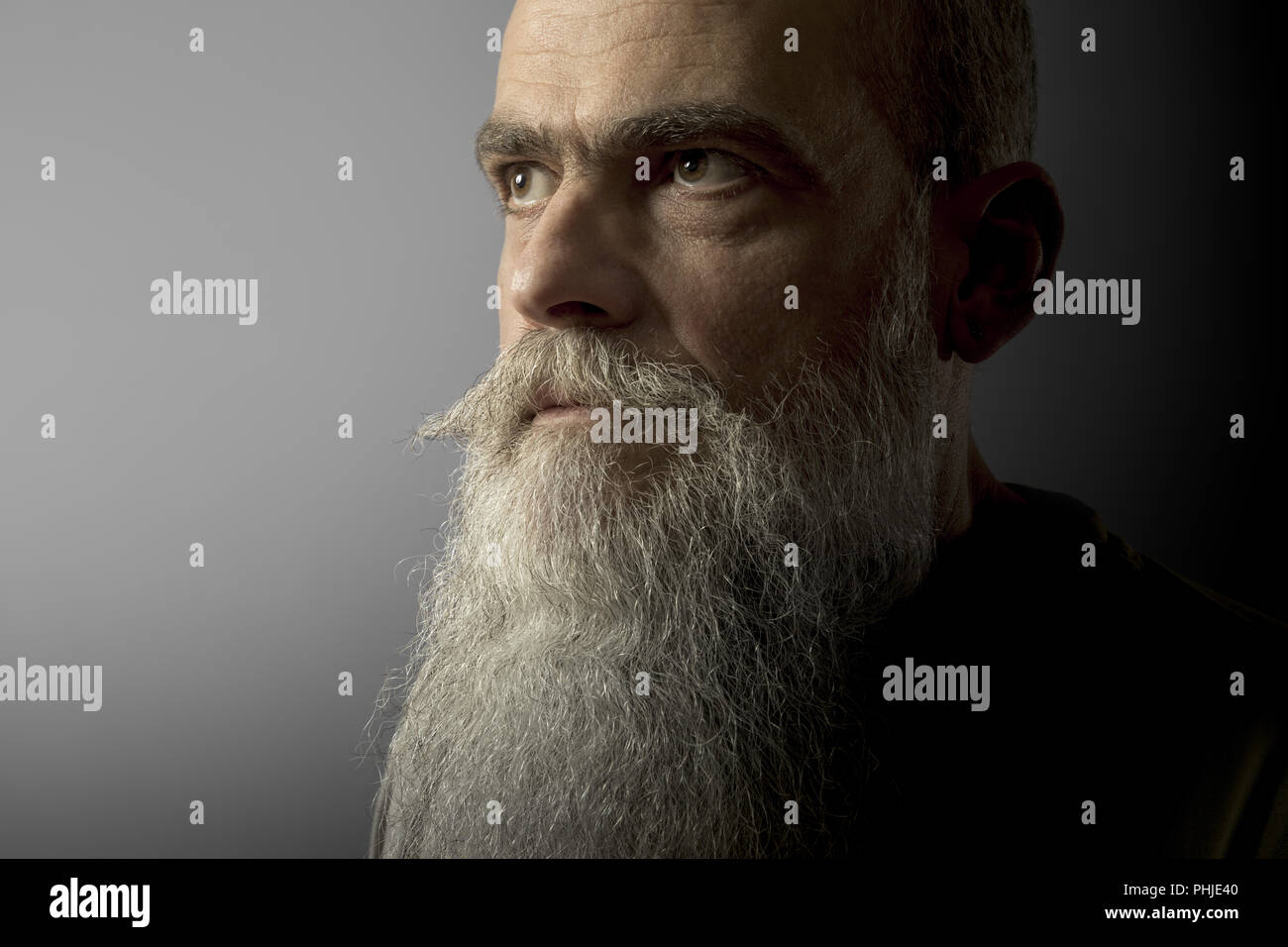 Portrait old long bearded hi-res stock photography and images - Alamy
