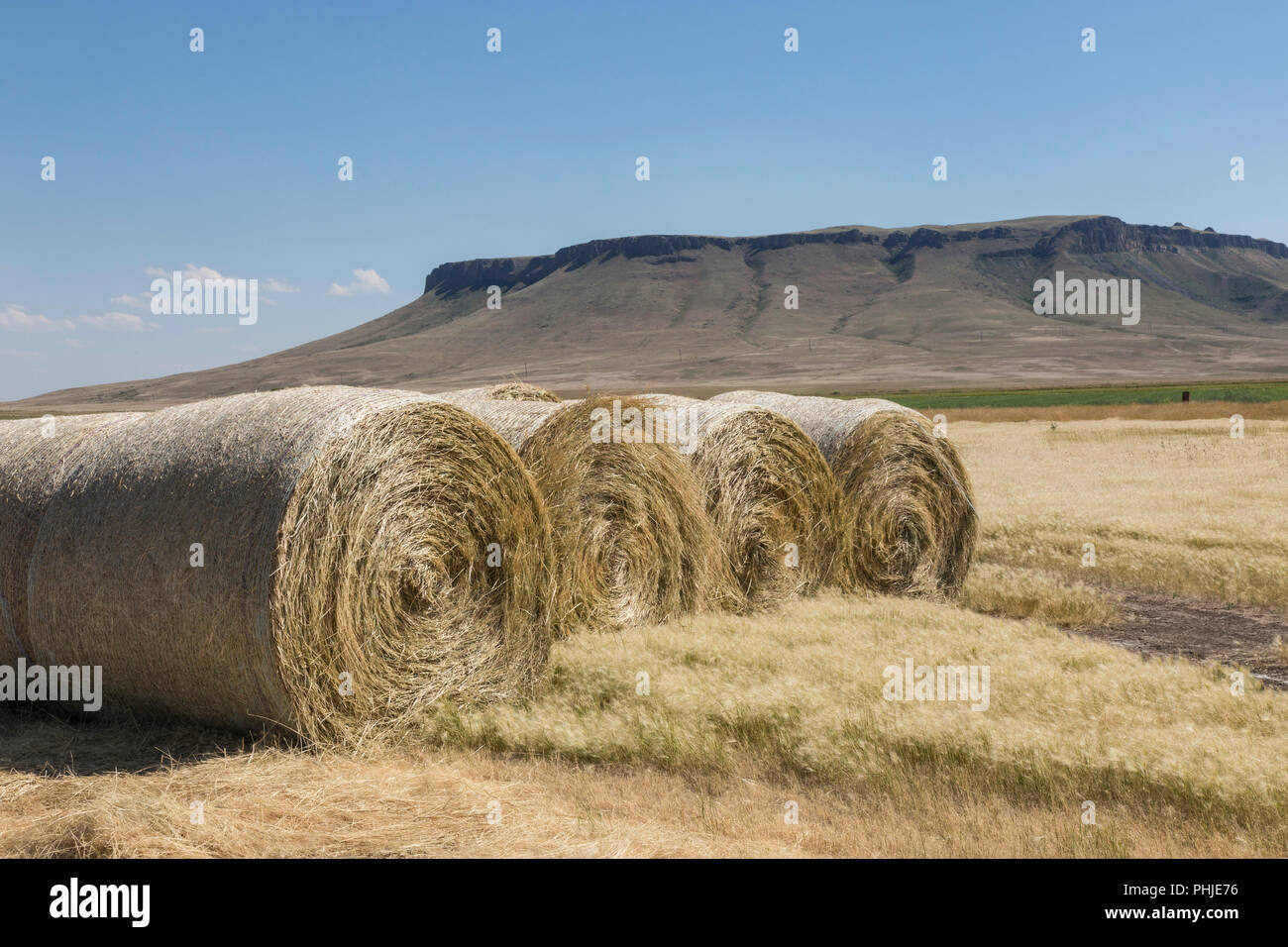 Square Butte is an iconic landmark in Montana, USA Stock Photo - Alamy
