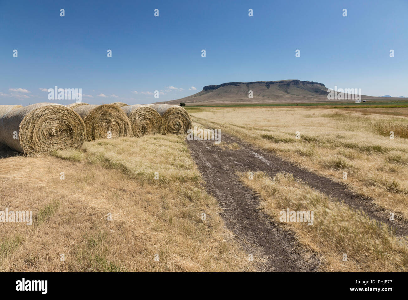 Square Butte is an iconic landmark in Montana, USA Stock Photo - Alamy