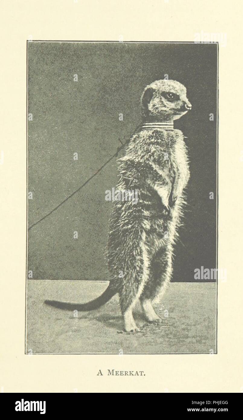 Second life home page hi-res stock photography and images - Alamy