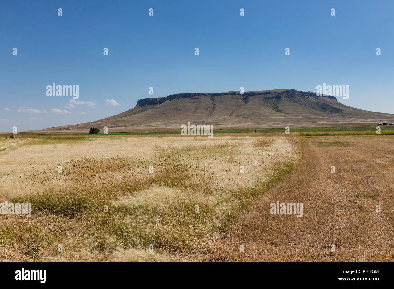 Square Butte is an iconic landmark in Montana, USA Stock Photo - Alamy