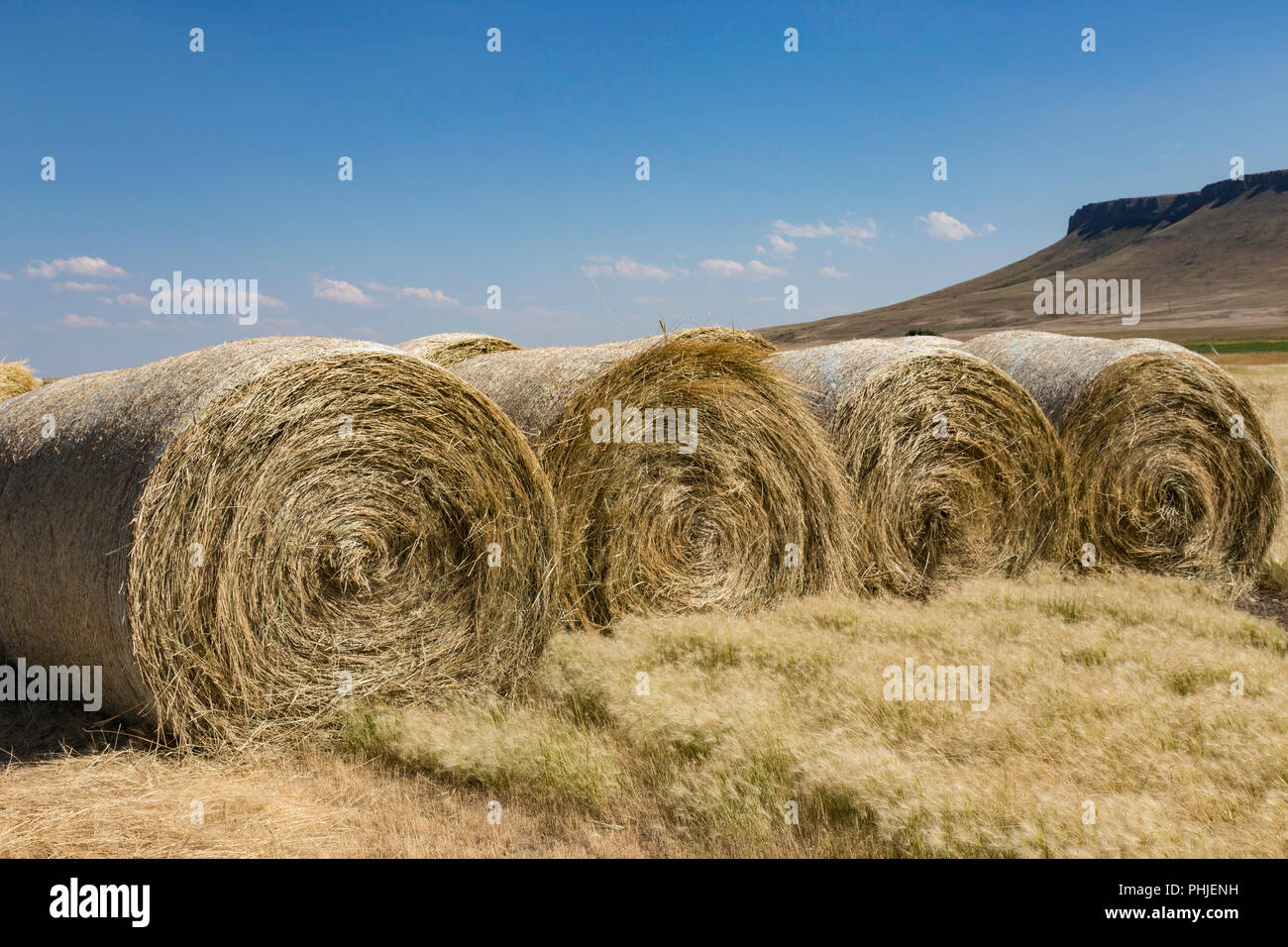 Square Butte is an iconic landmark in Montana, USA Stock Photo - Alamy
