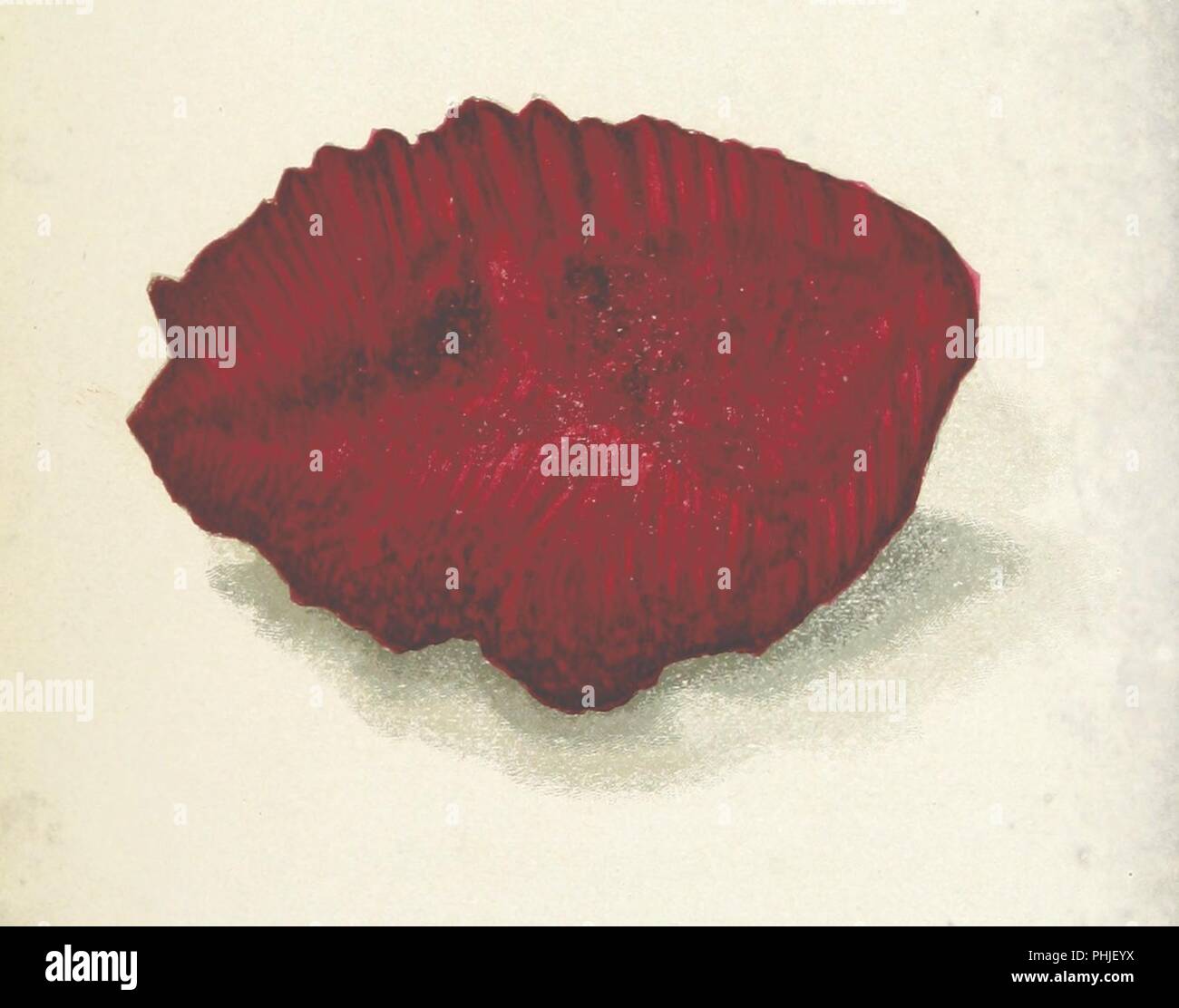 Ruby mines hi-res stock photography and images - Alamy